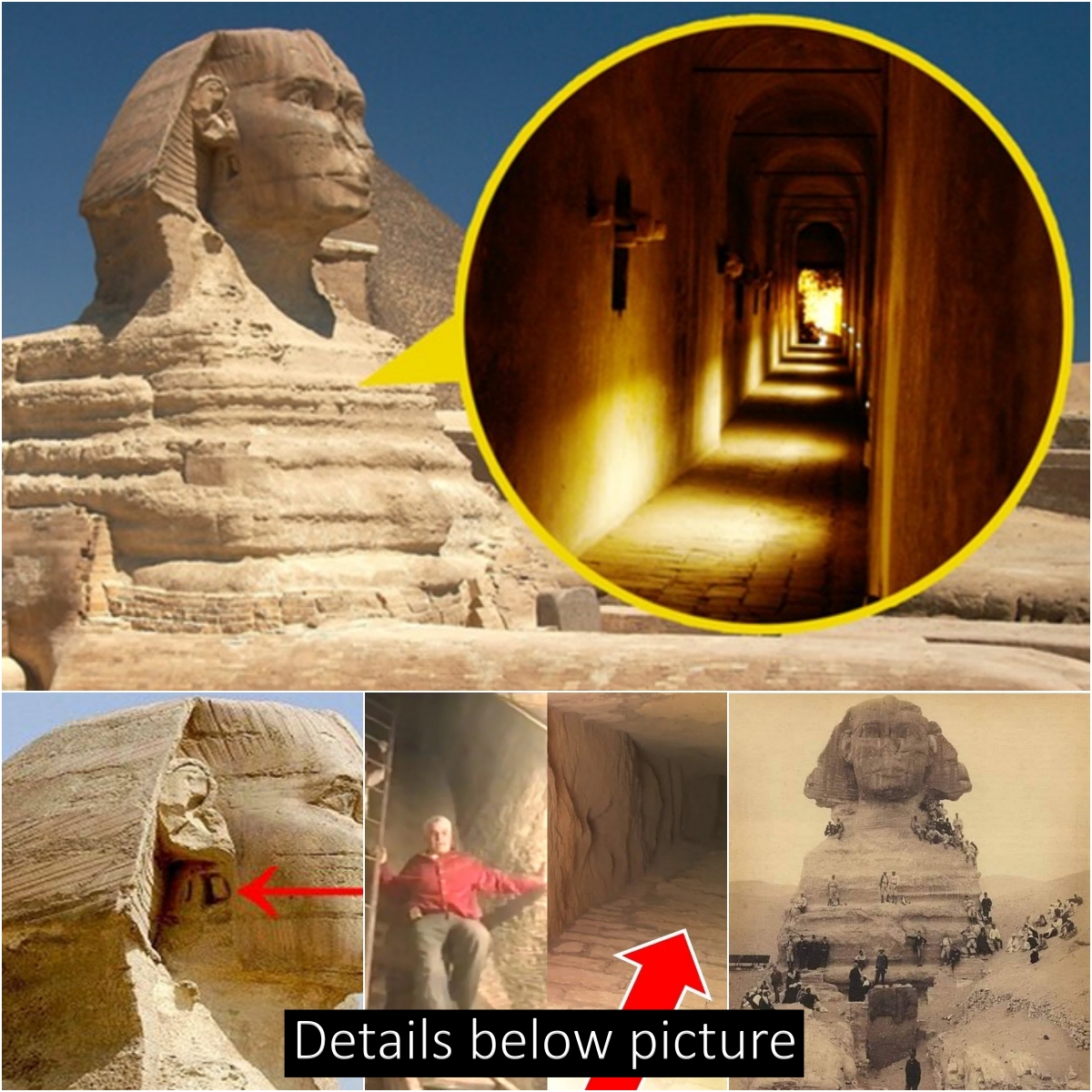 The truth behind the Sphinx scares archaeologists Egyptian history ...